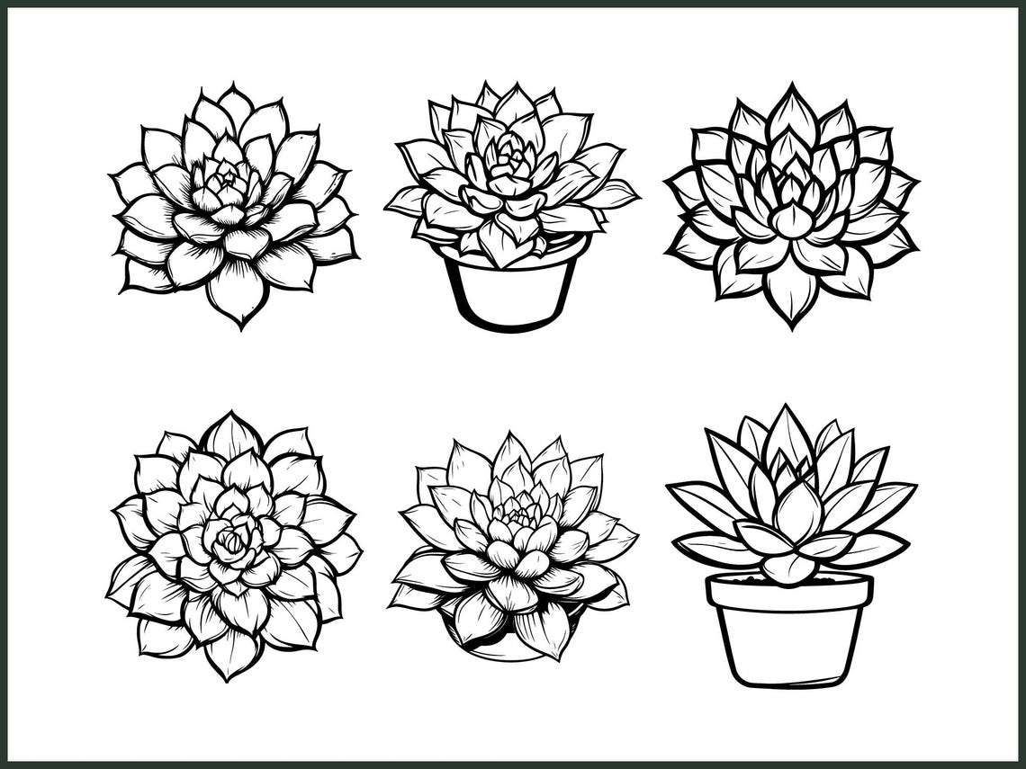 Succulent SVG Bundle: Silhouette, Clipart, and Cut Files - Etsy