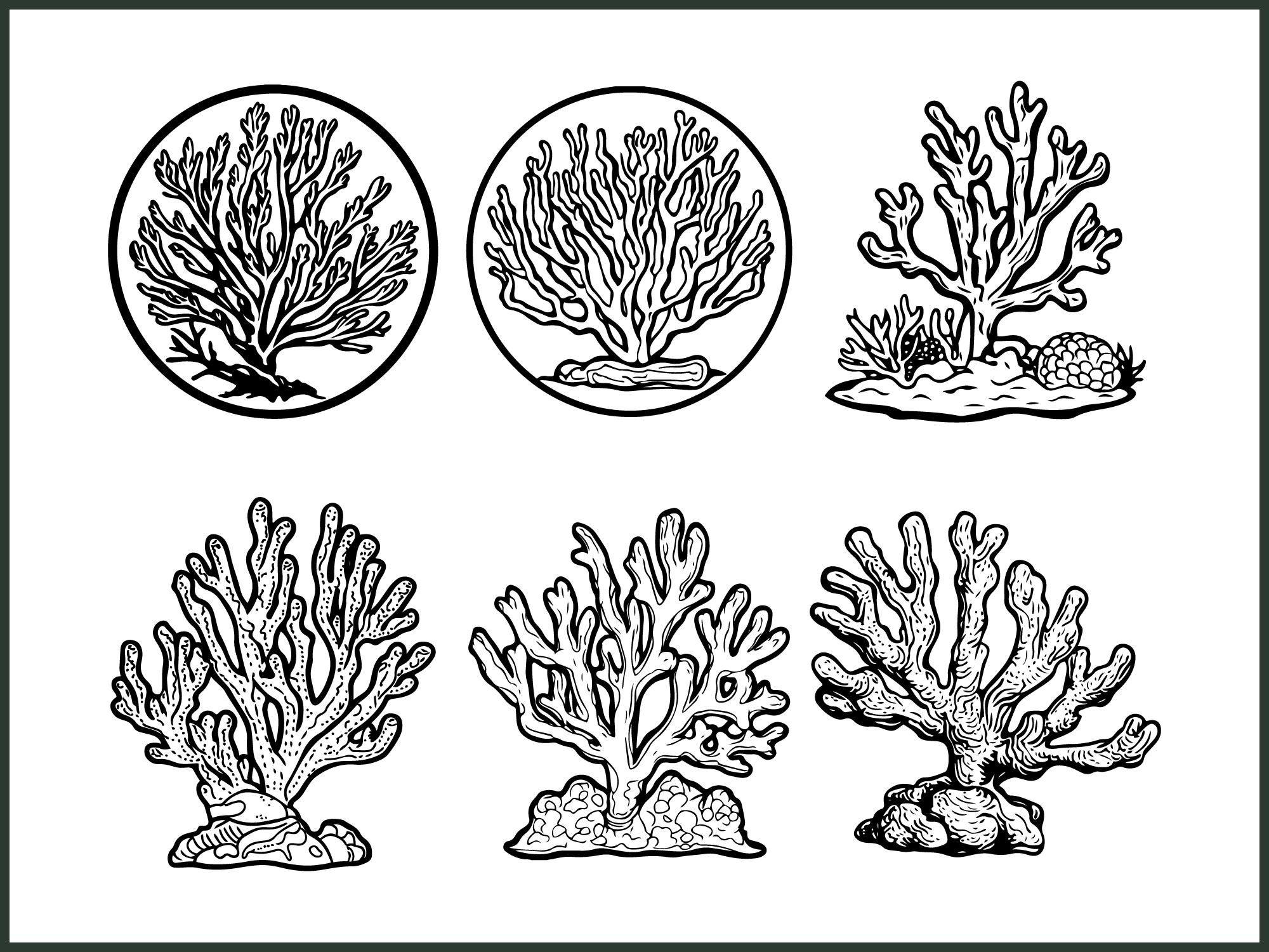 Coral Reef SVG Bundle: Clipart, Silhouette, Cut Files - Etsy