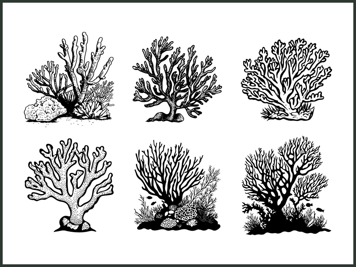 Coral Reef SVG Bundle: Clipart, Silhouette, Cut Files - Etsy