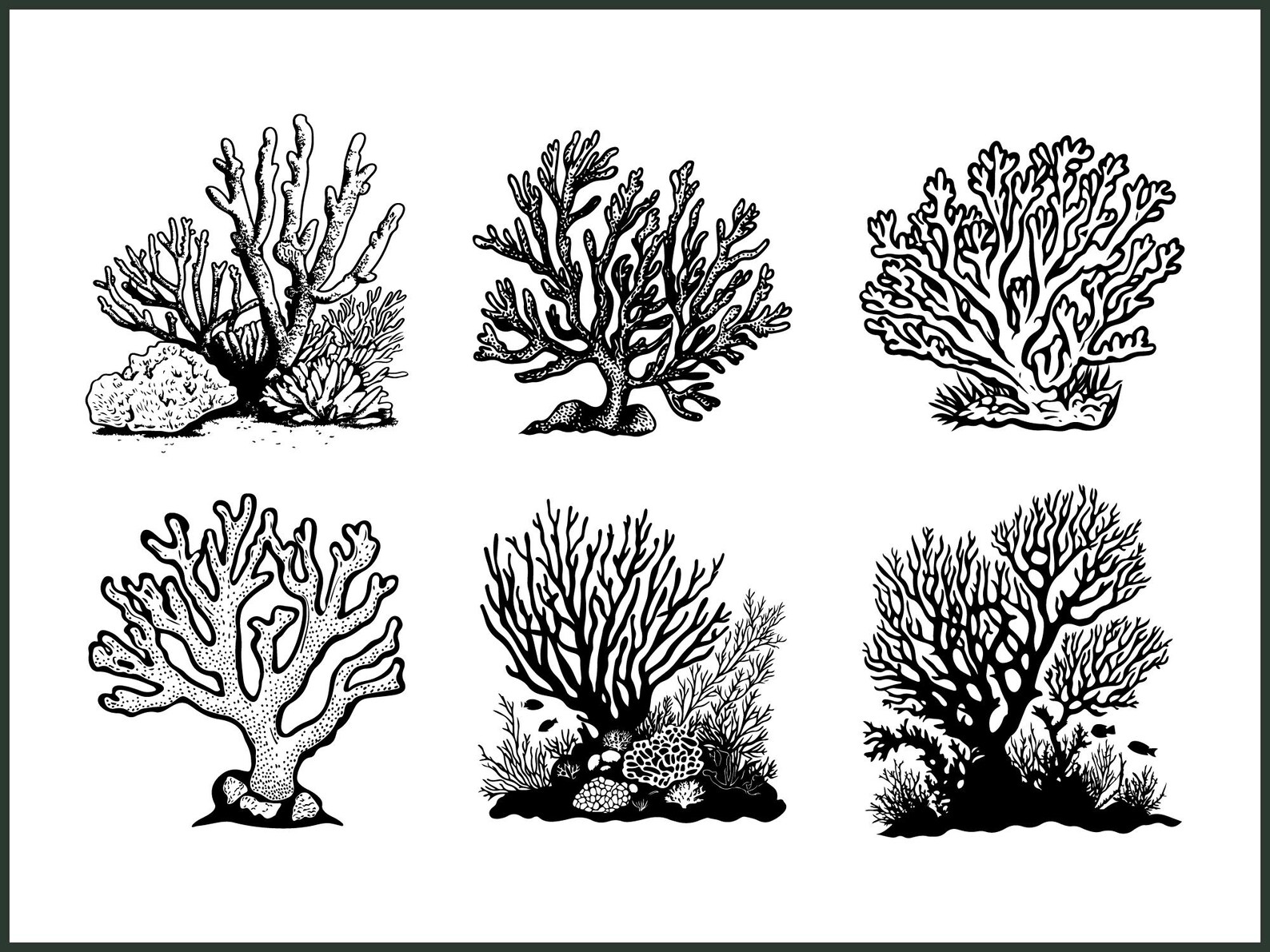 Coral Reef SVG Bundle: Clipart, Silhouette, Cut Files - Etsy