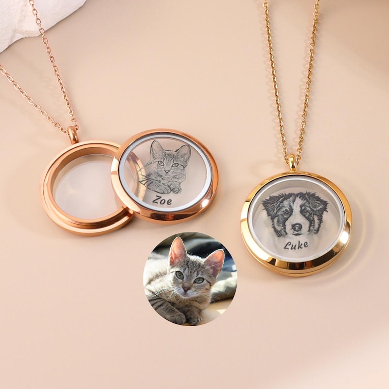 Pet Fur Remembrance Locket - Etsy
