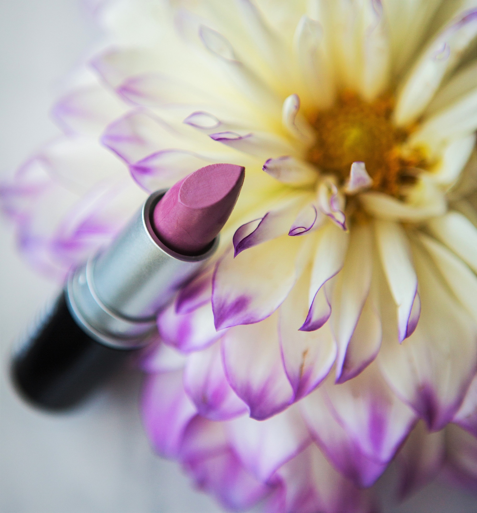 Dusty Mauve Lipstick. Makeup. Cosmetics. Mauve Lipstick. Pink | Etsy