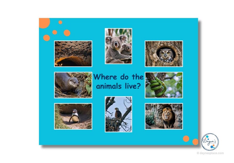Where Do Animals Live? | Printable Literacy & Language Resource | Ages ...