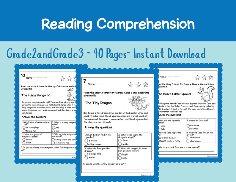 40 Reading Comprehension Passages for Grade 2 & 3 | Printable Fluency ...