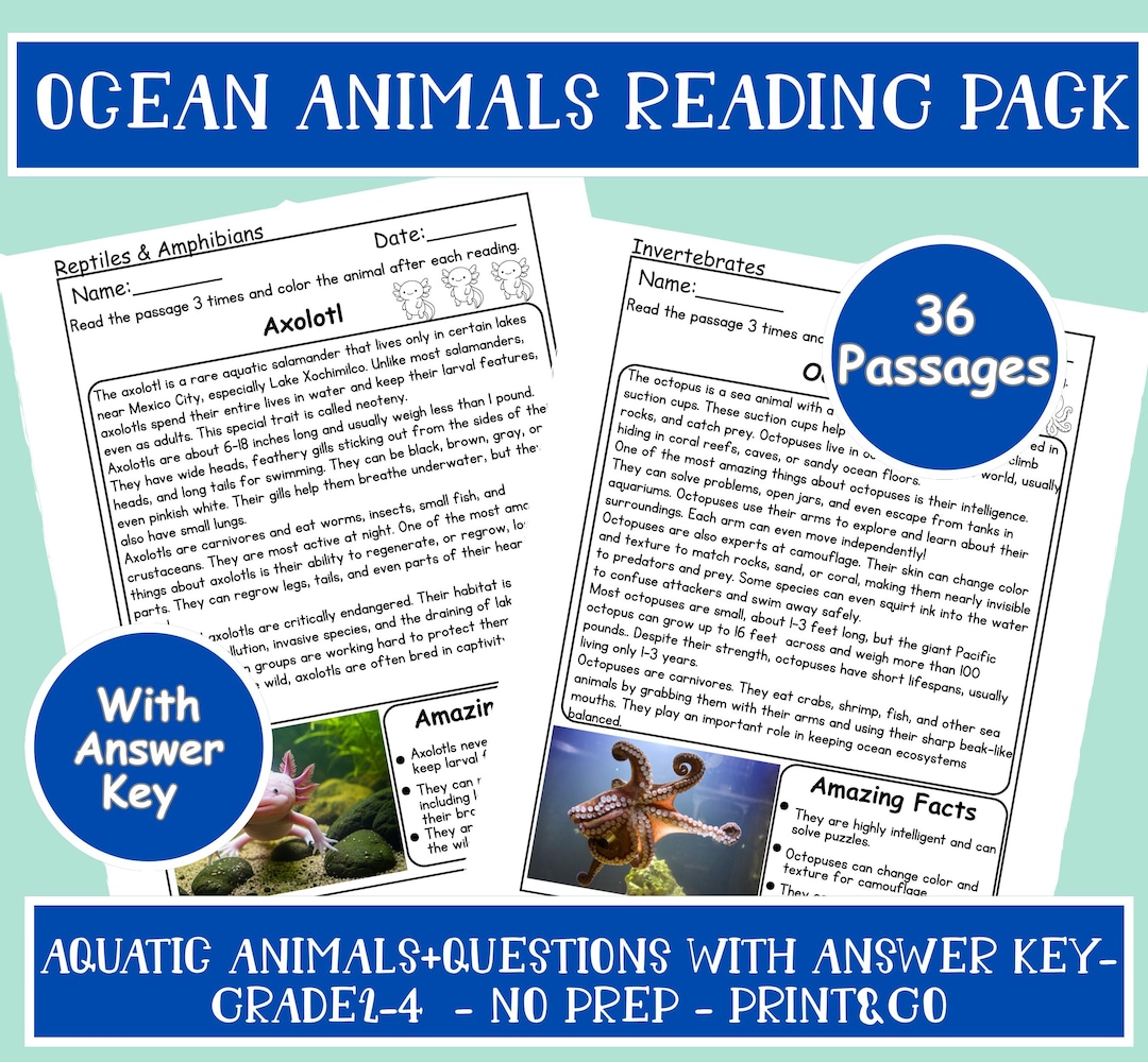 Ocean Animals Reading Comprehension - Grades 2-4 (printable PDF) - Etsy ...