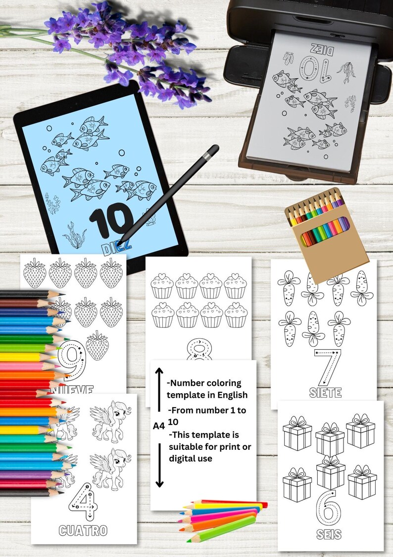 Number Coloring Template in Spanish - Etsy