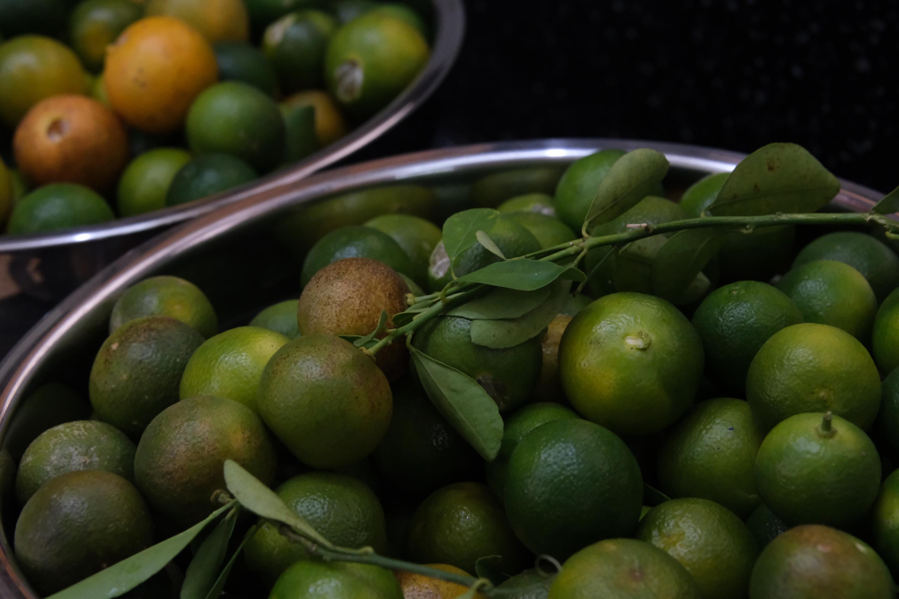 Philippine Citrus - Etsy