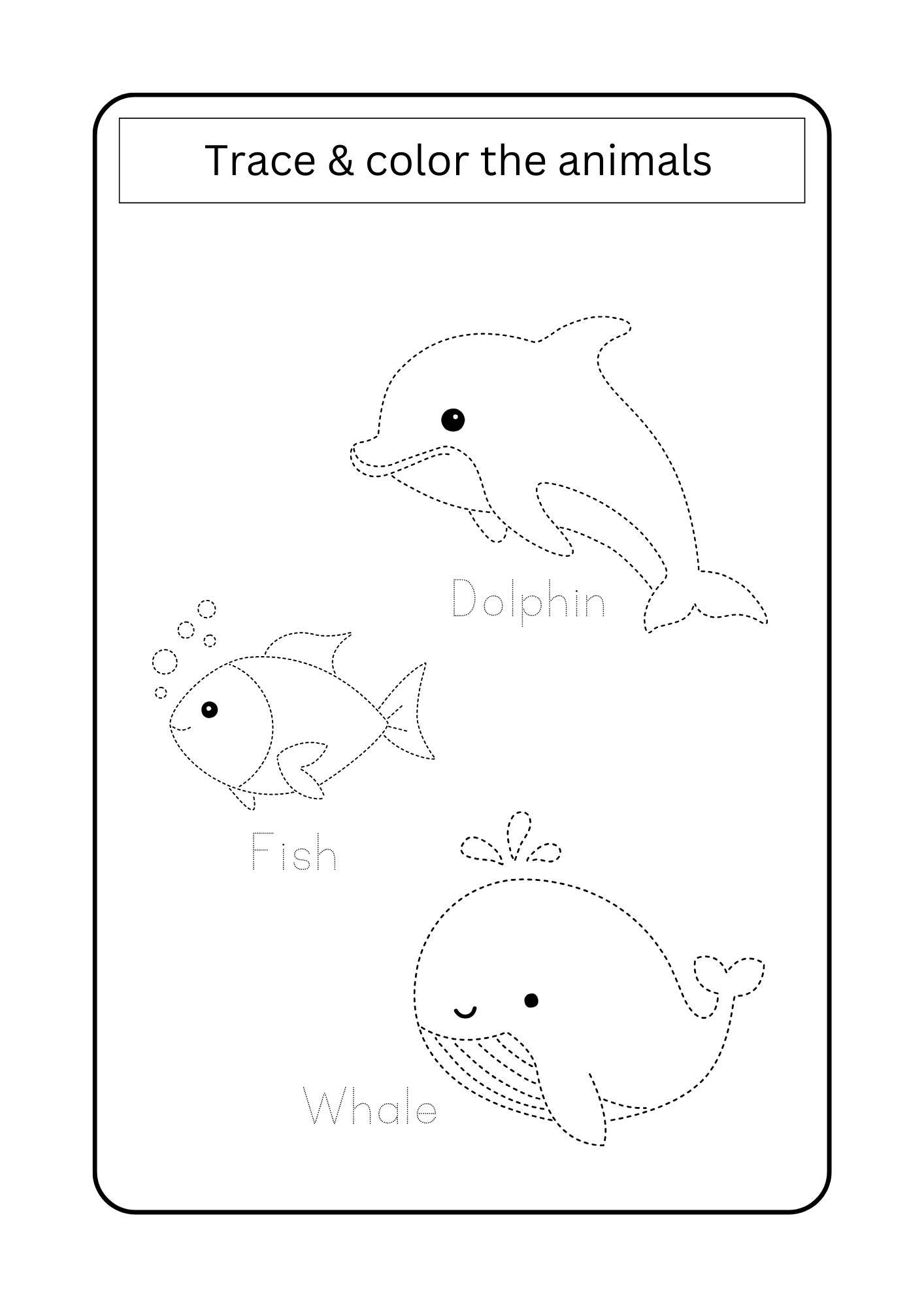 Tracing Activity Book for Kids (12 Pages) - Etsy