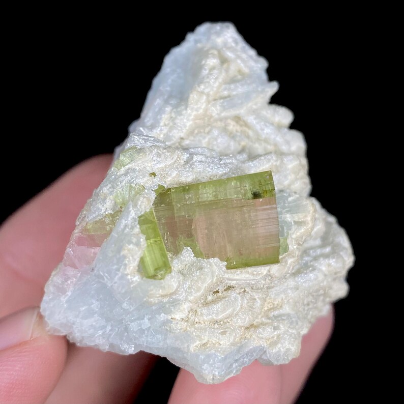 Tourmaline pastèque avec spécimen d'albite, minéral d'Afghanistan ...