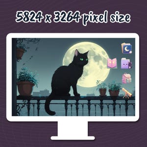 Midnight Cat Desktop Icons, Icon Set, Cat Folder Icons, Windows Icons ...
