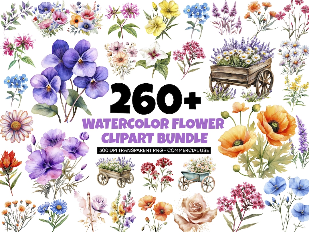 Watercolor Flower Clipart Bundle PNG, Watercolor Wildflower Clipart ...