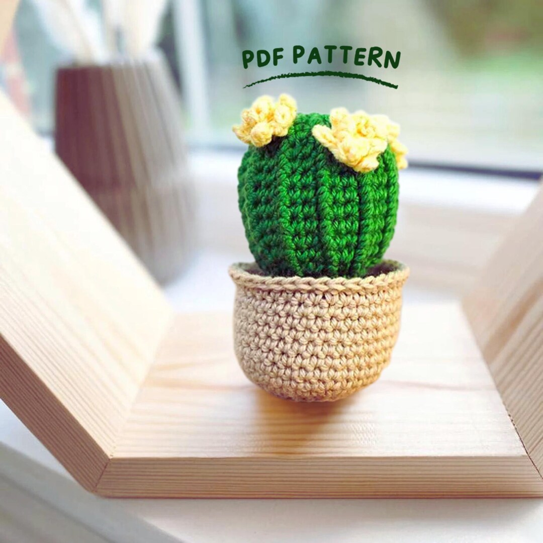Cactus Crochet Pattern Barrel Cacti- Easy Cheap Pattern - Present - Easy to Make - PDF Digital ...