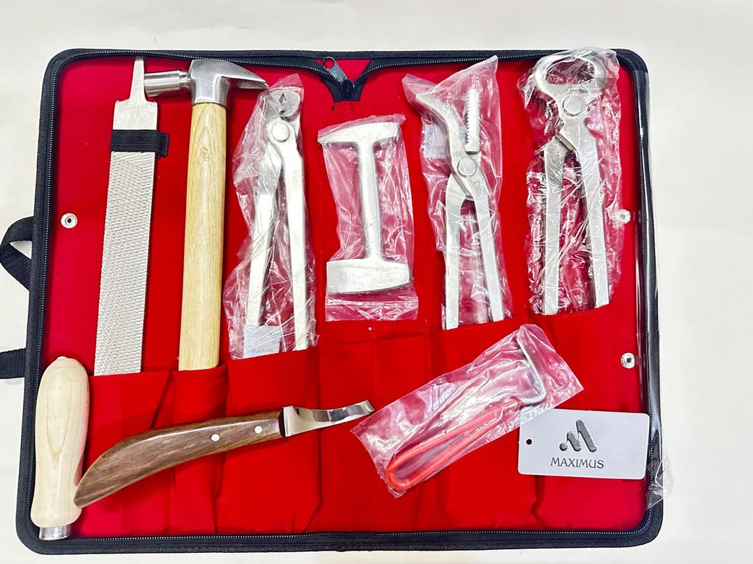 MXM Professional Horse Farrier Tool Kit Hoof Clincher Nipper RASP ...