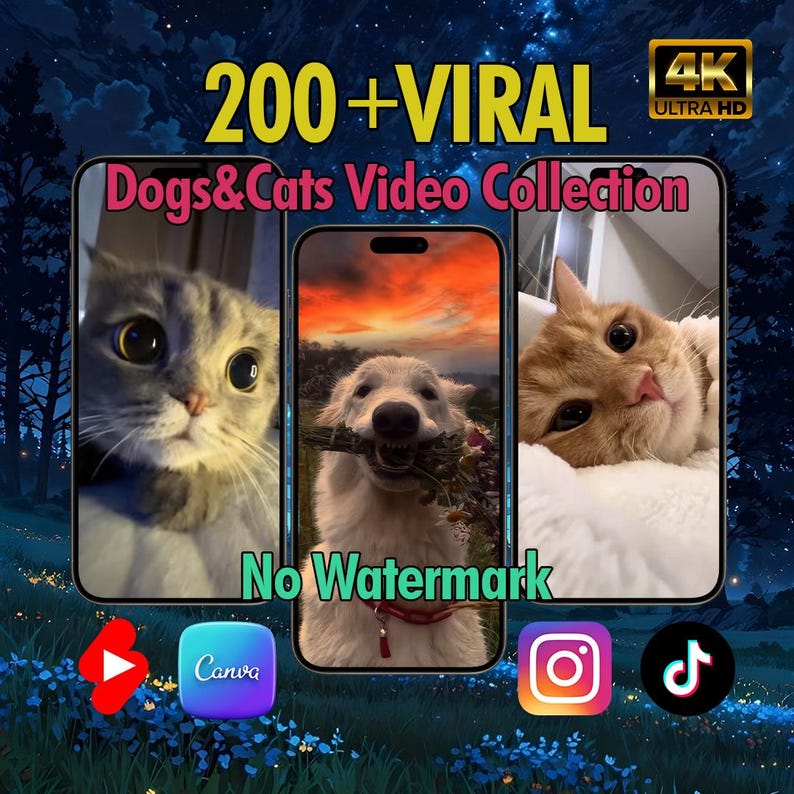 200+ Viral Dogs and Cats Videos – High-quality Pack for Social Media ...