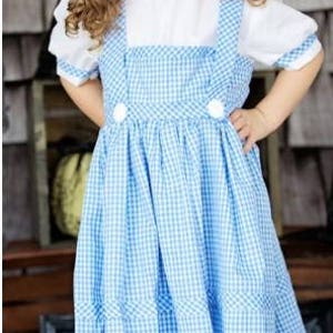 Halloween Modest Wizard of OZ Storytime Costume Deluxe - Etsy