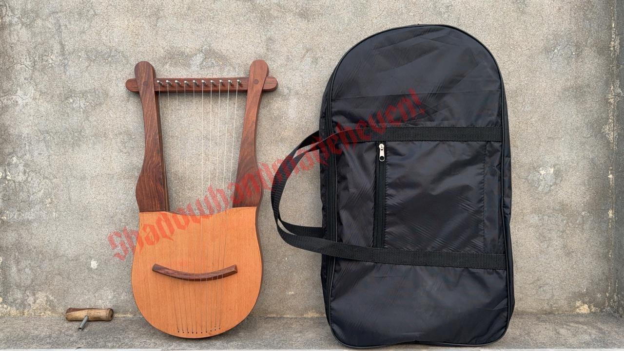 Handmade 10 Metal String Lyre Harp With Carry Bag - Etsy