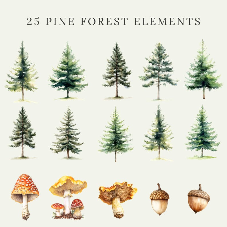 Evergreen Pine Forest Clip Art Bundle – Watercolor Trees, Cones ...