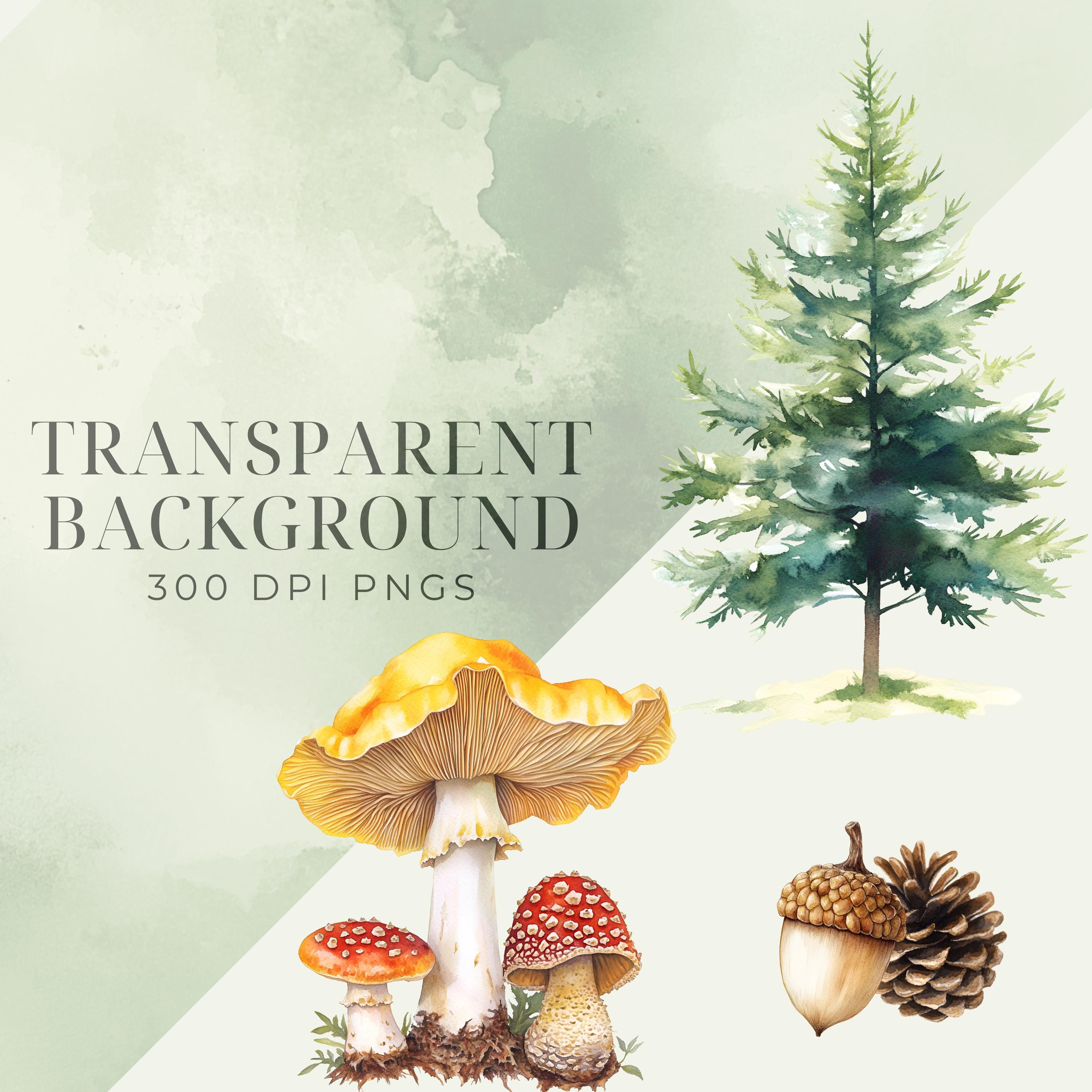Evergreen Pine Forest Clip Art Bundle – Watercolor Trees, Cones ...