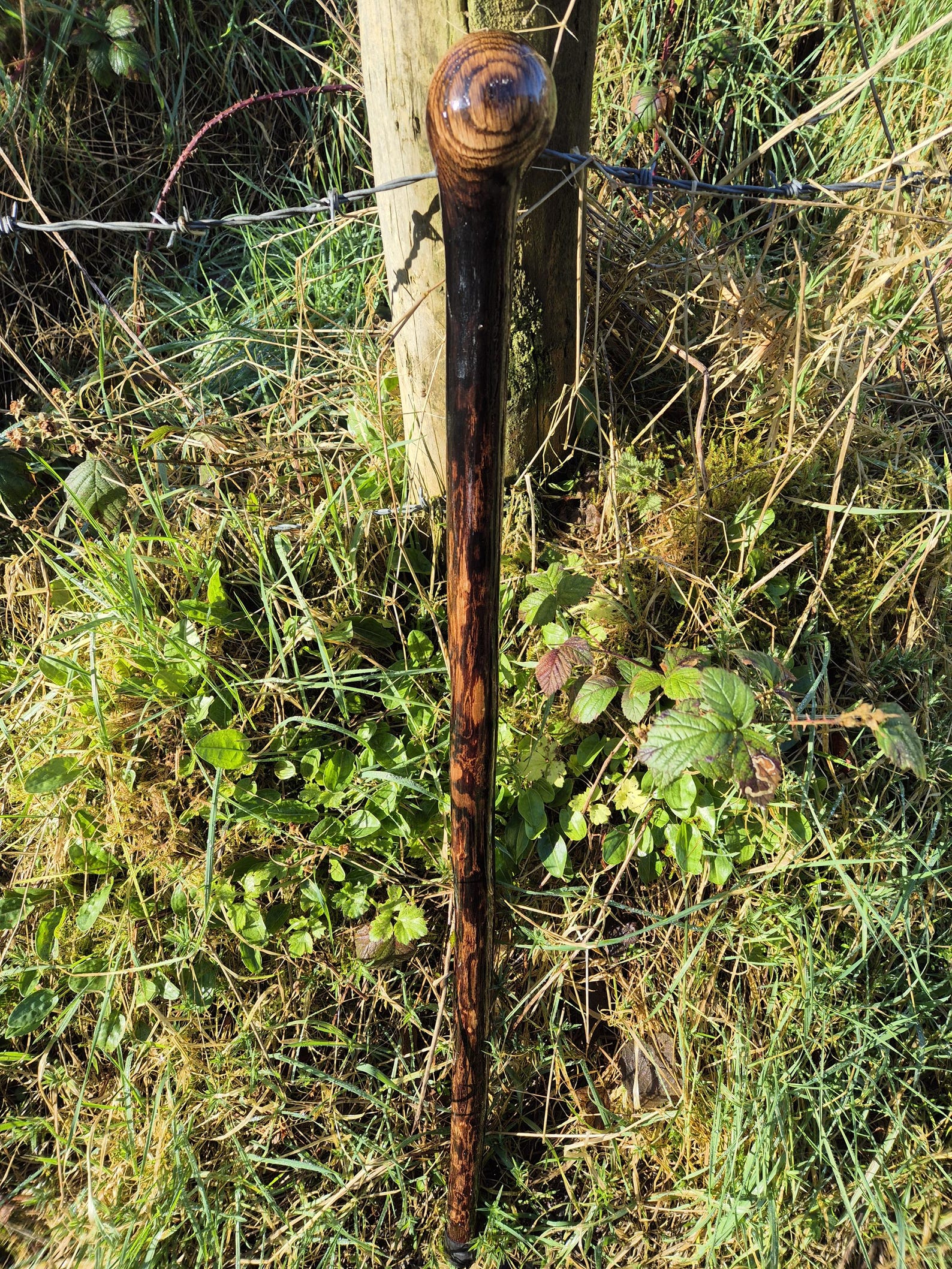 Irish Ash Walking Stick With Irish Oak Head - Etsy