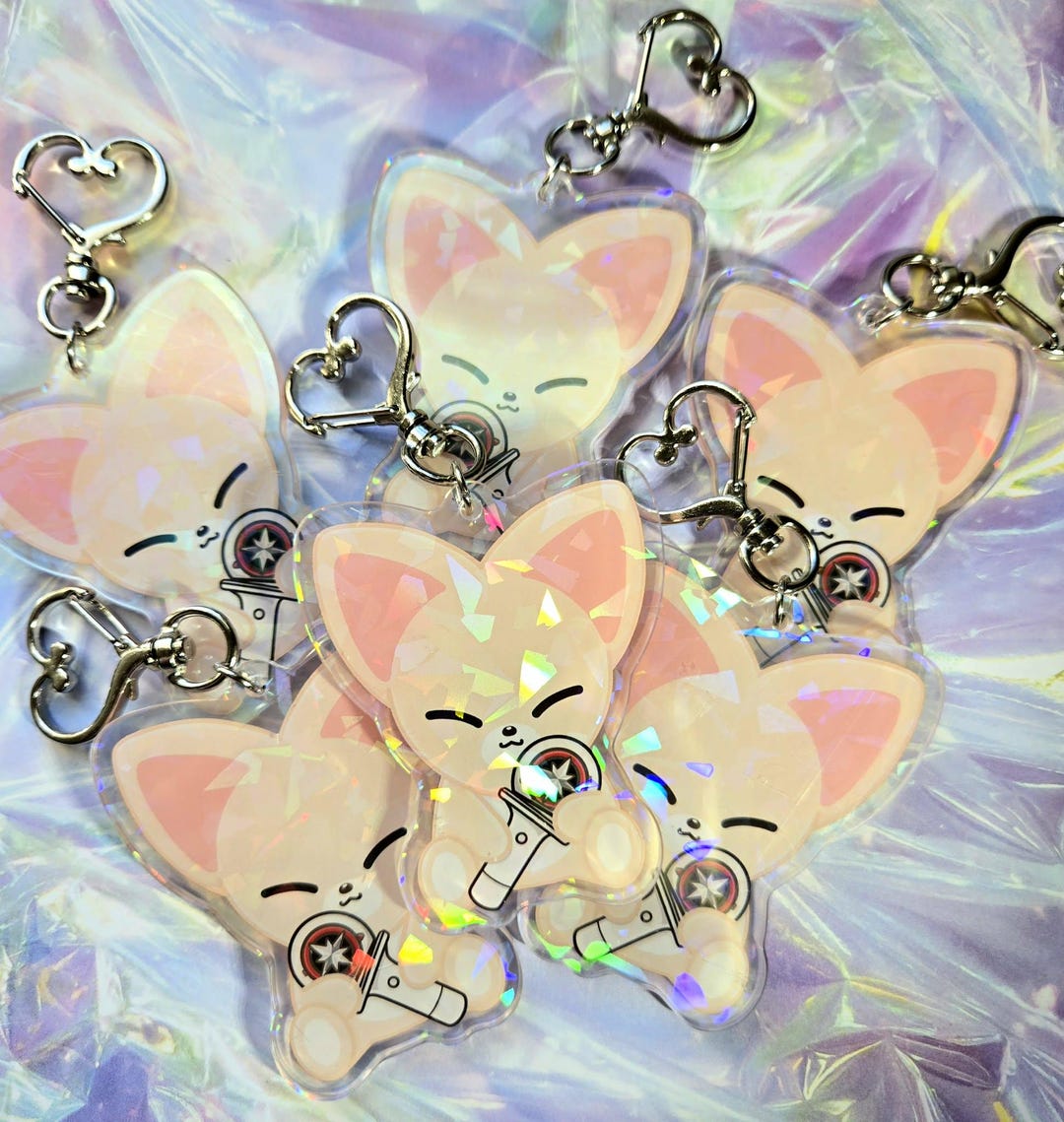 Stray Kids Foxiny Holographic Keychain, SKZOO Keychain - Etsy
