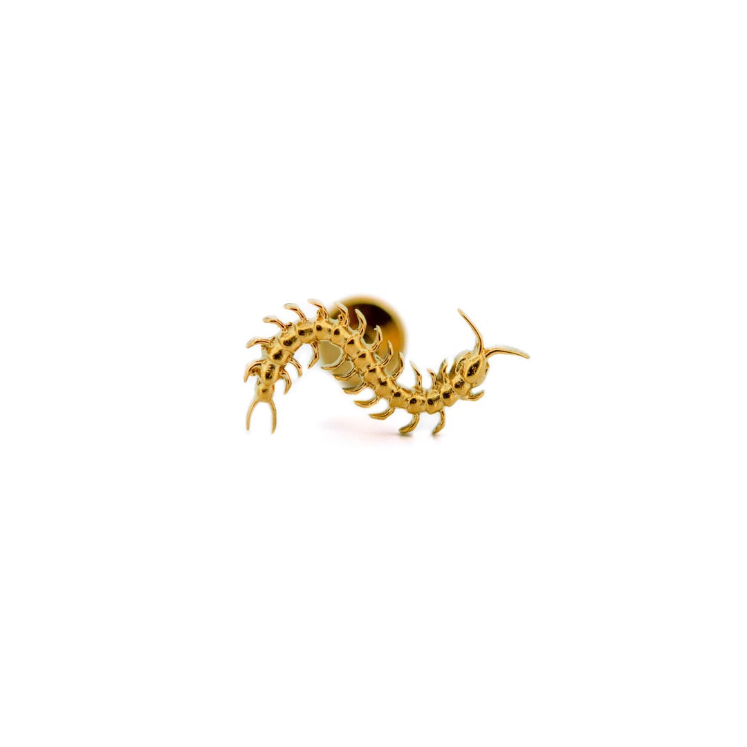 Gothic Centipede Flatback Stud | Gold Titanium | Conch, Helix, Second ...