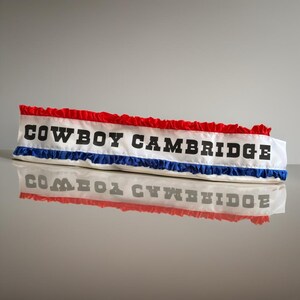 Cowboy Carter Sash | Beyoncé Inspired American Flag Sash | Western ...