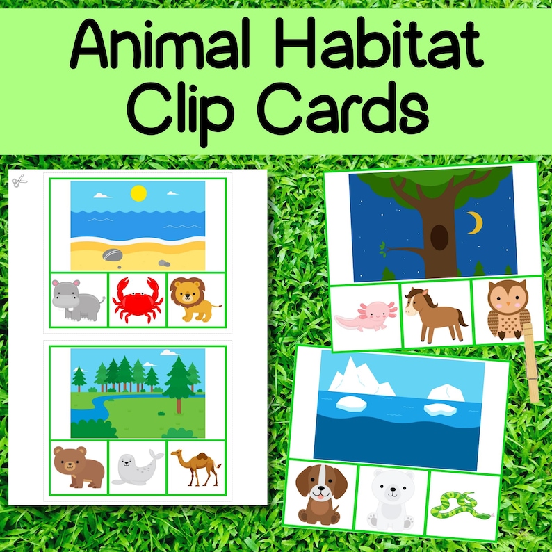 Animal Habitat Clip Cards, Animal Habitat Activity, Animal Habitat ...