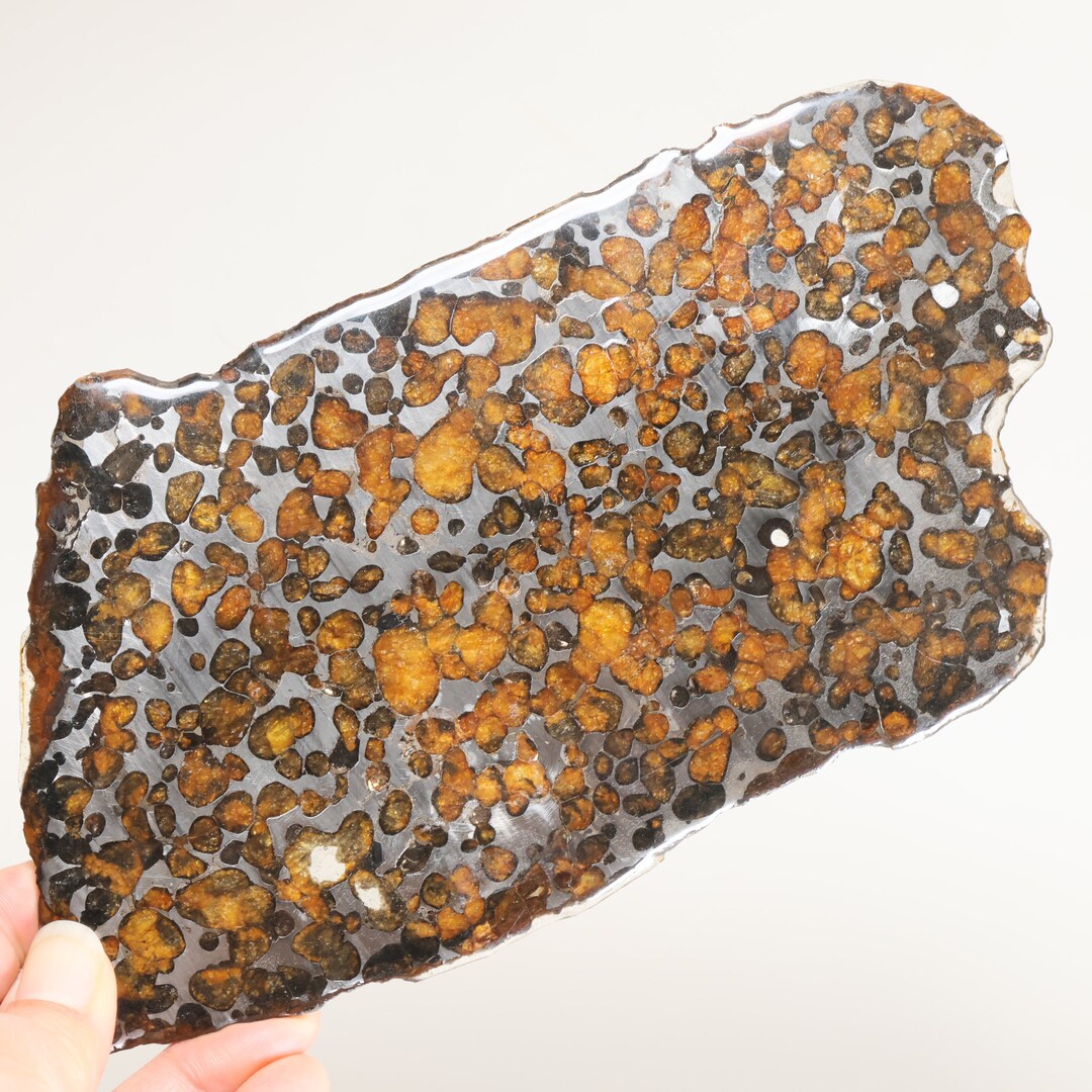 PALLASITE Meteorite Slice 205g natural SERICHO METEORITE - Etsy