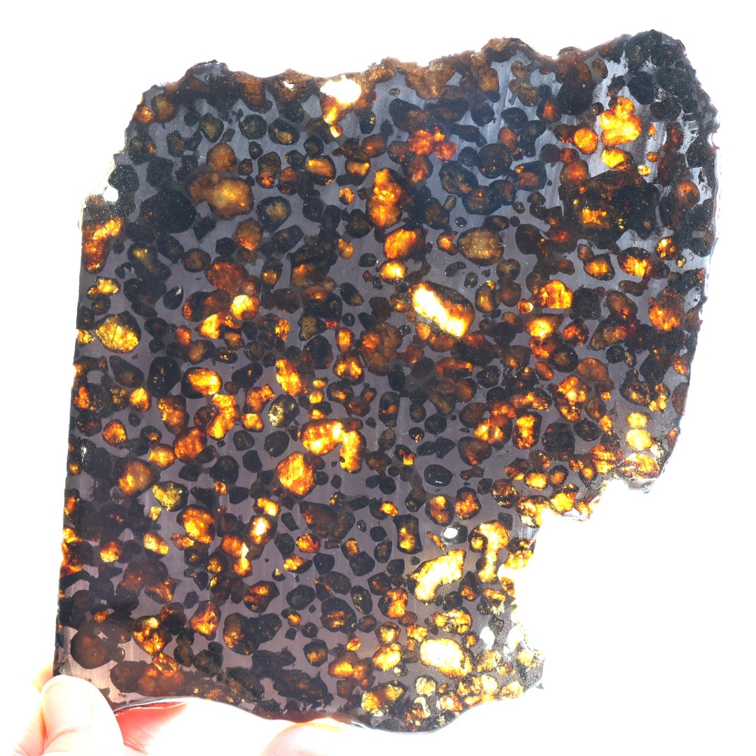 PALLASITE Meteorite Slice 218g ,natural SERICHO METEORITE Olive ...