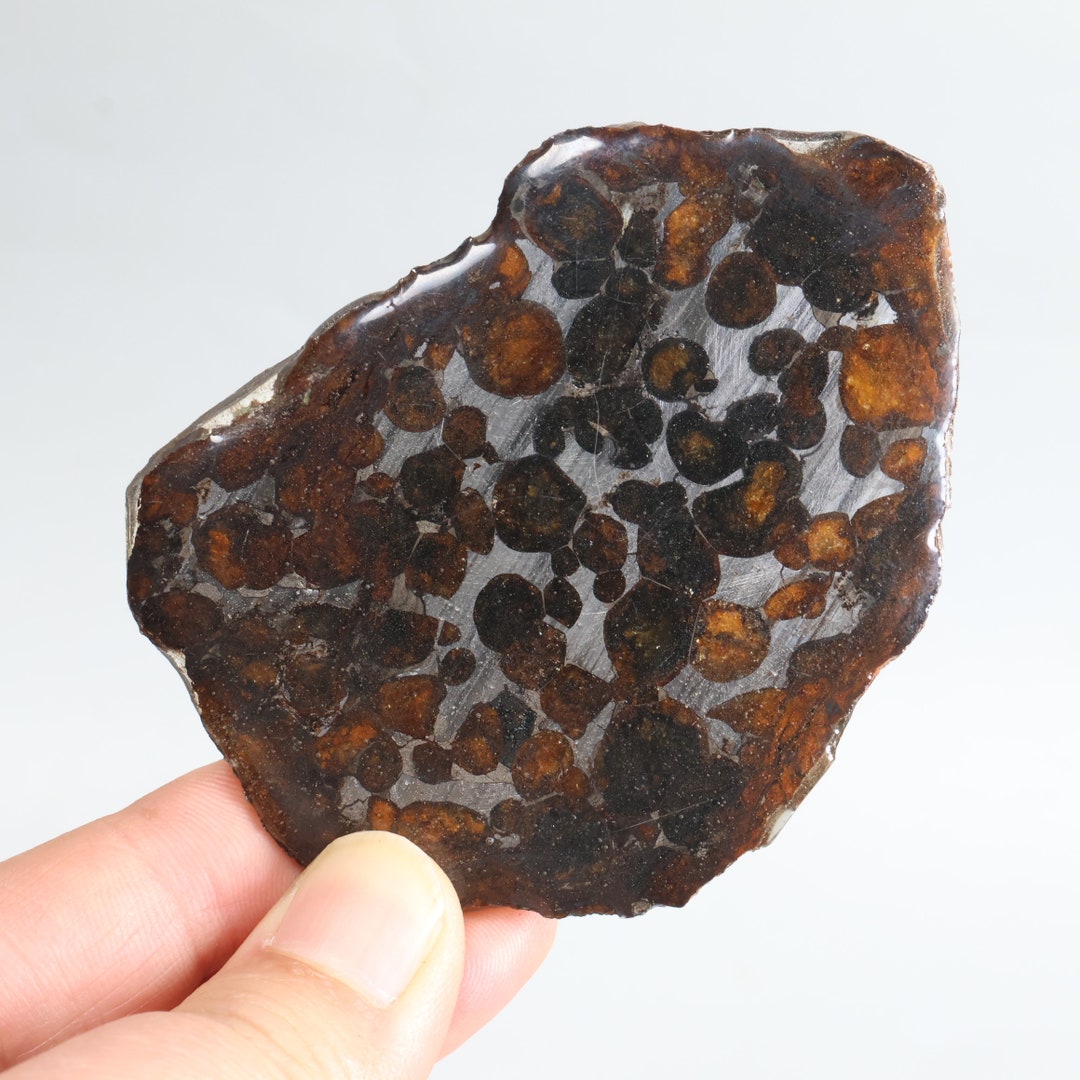 PALLASITE Meteorite Slice 51g ,natural SERICHO METEORITE Olive ...