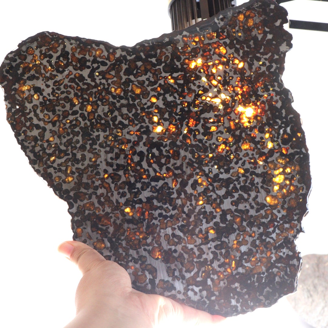 PALLASITE Meteorite Slice 831g ,rare SERICHO METEORITE Pallasite Olive ...