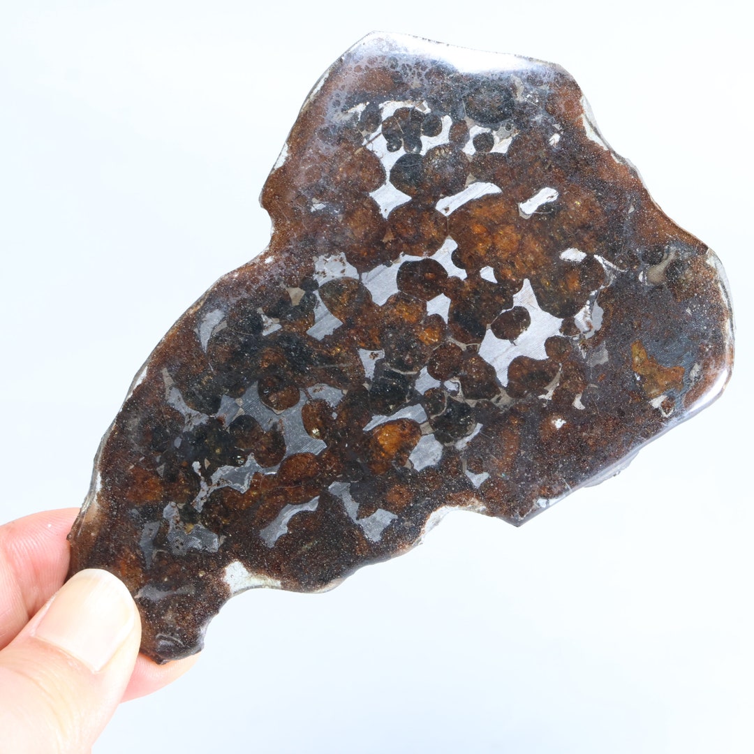 PALLASITE Meteorite Slice 71g ,natural SERICHO METEORITE Olive ...