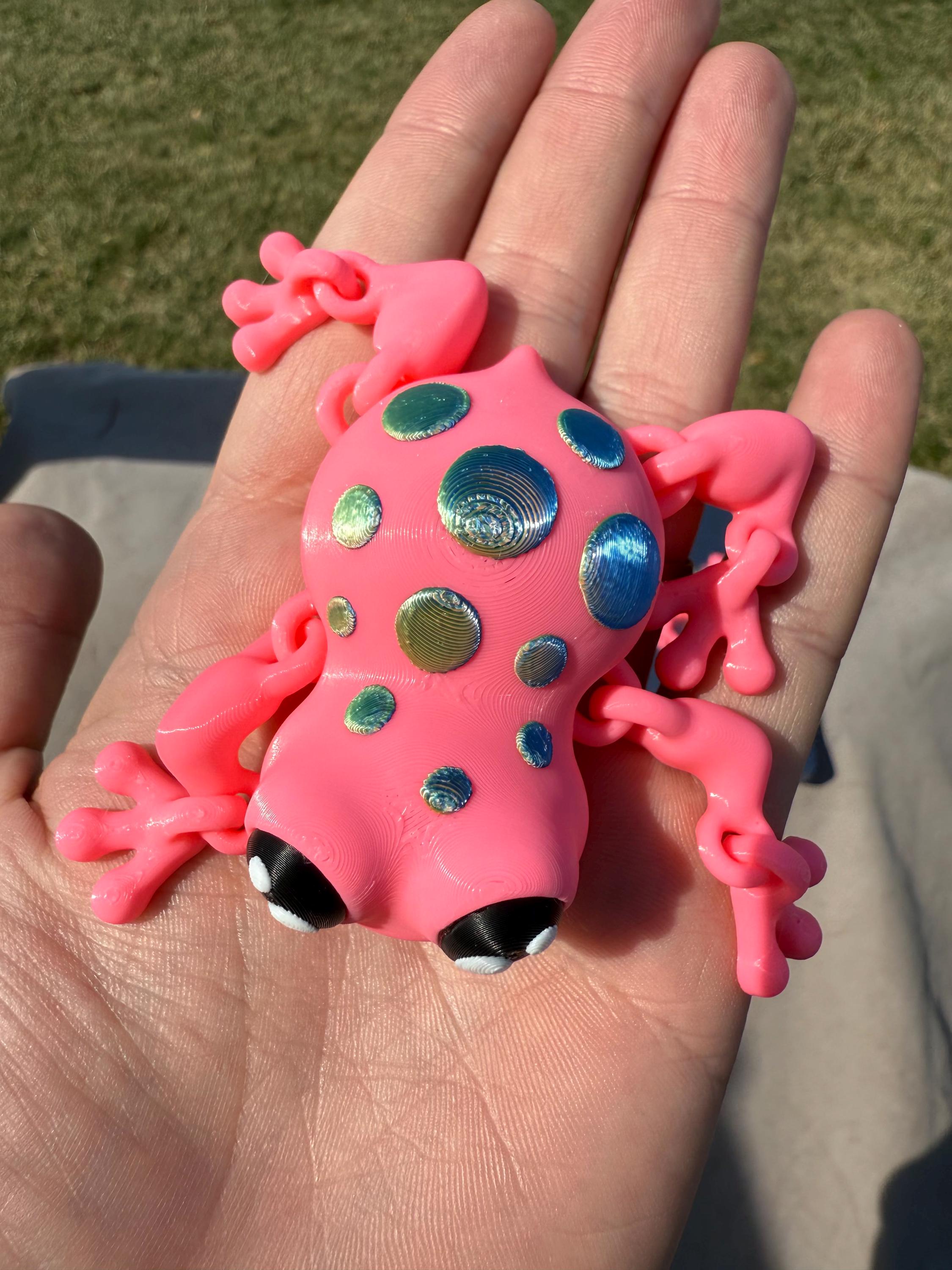 3D Printed Articulated Frog | Multicolor Flexi Frog Toy | Fidget Desk ...