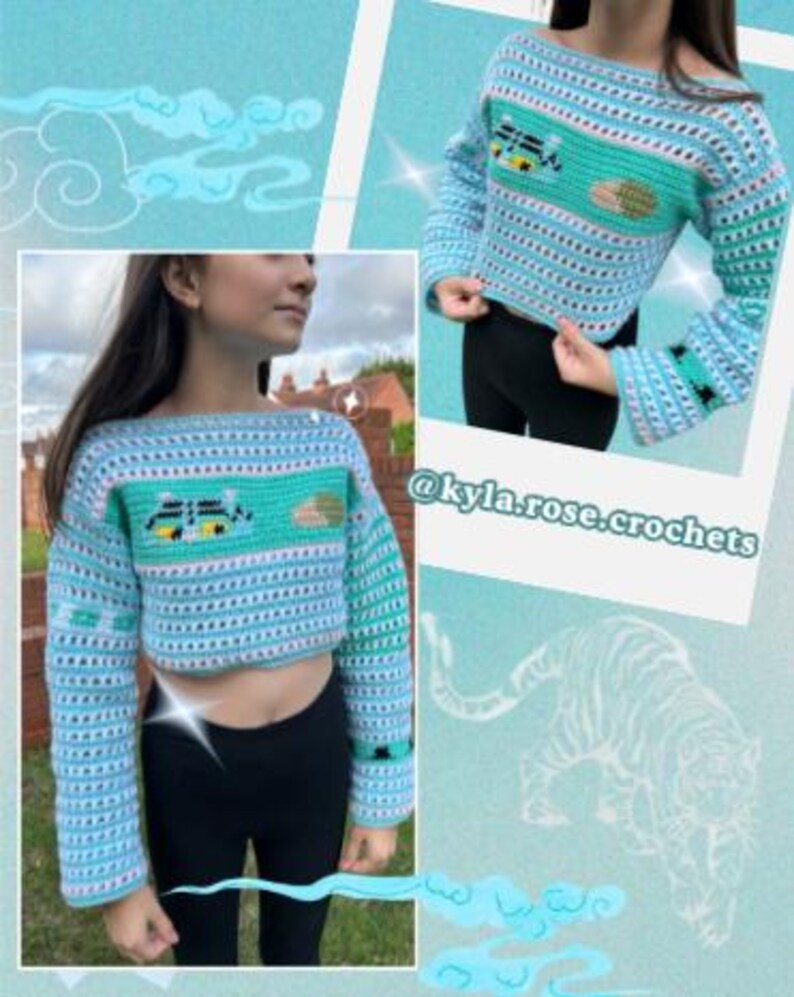 Tiger Jumper Crochet Pattern – Inspired by “derpy” the Tiger From K-pop ...