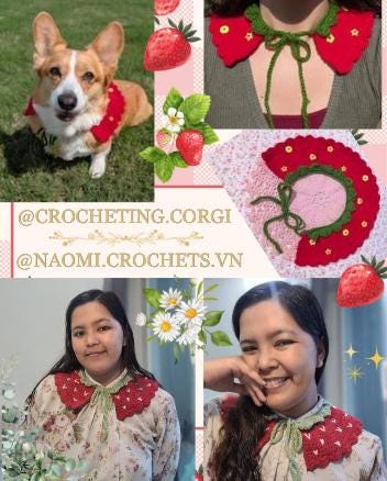 Strawberry Collar Crochet Pattern PDF Digital Download, Whimsical ...
