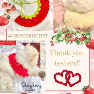 Strawberry Collar Crochet Pattern PDF Digital Download, Whimsical ...