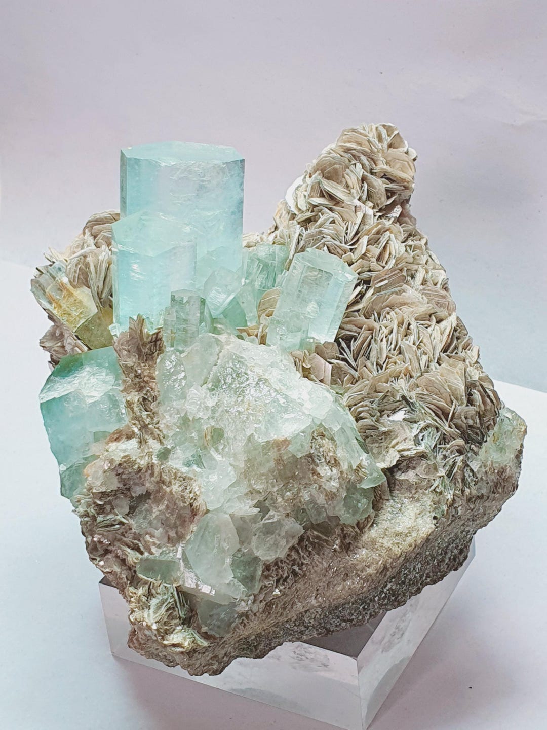 Collector Aquamarine Beach on Muscovite Crystal Transparent Terminated ...
