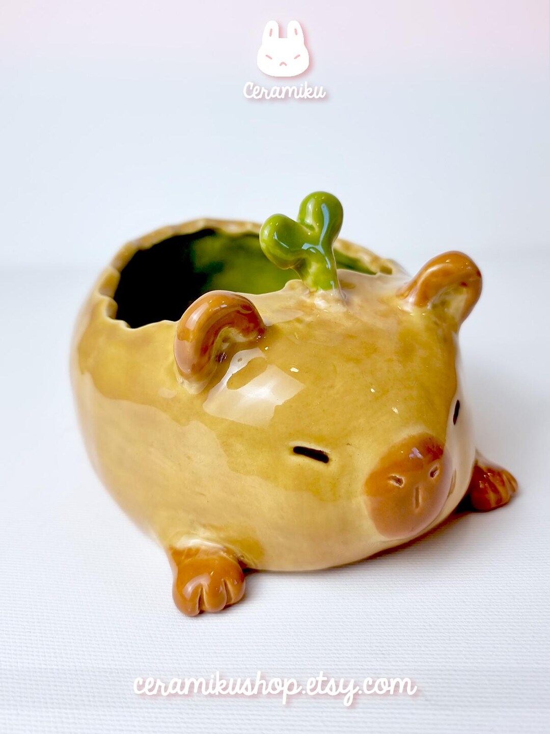 Handmade Capybara Planter – Cute Ceramic Animal Pot for Succulents ...