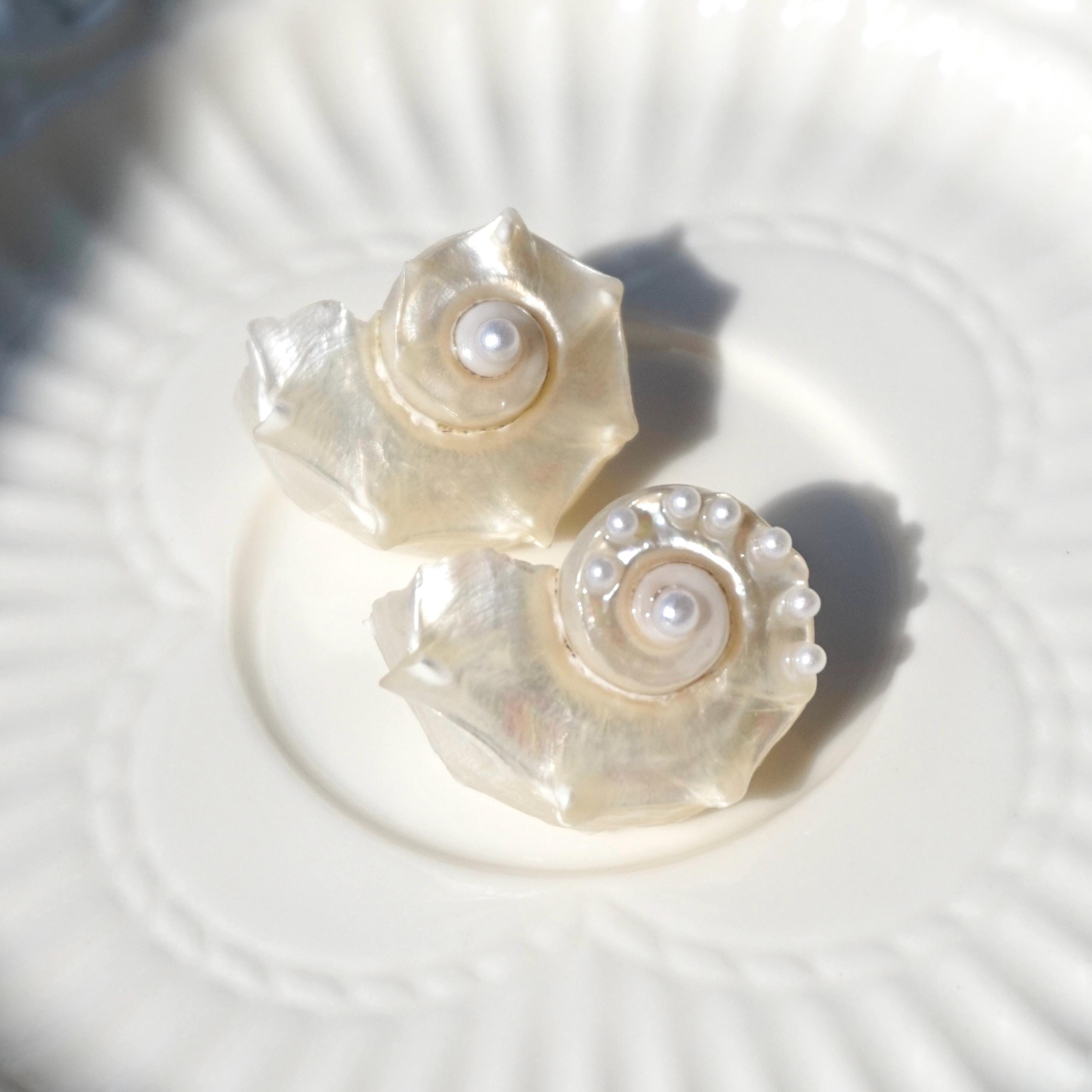 Luminous Conch Shell Stud Earrings: Natural Seashell Ocean Gift, Boho ...
