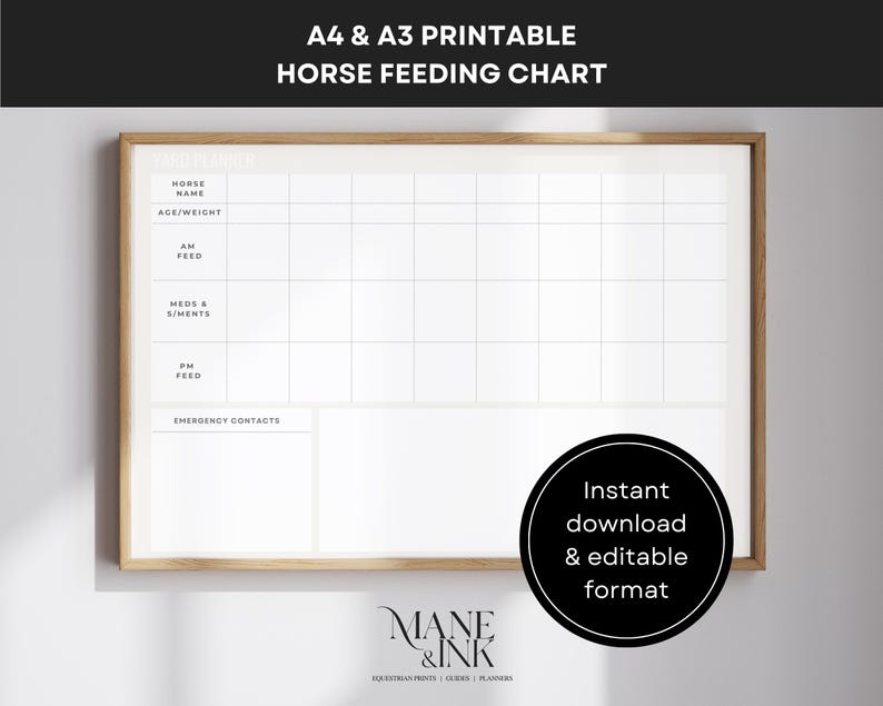 Horse Feed Planner: Editable AM/PM Chart (A4, A3 Formats) - Etsy