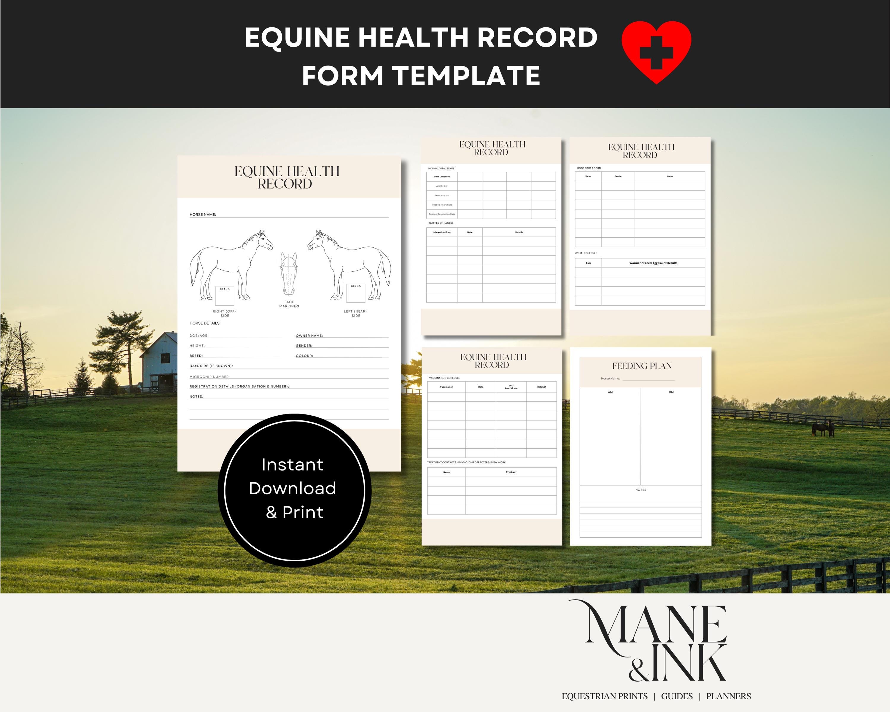Printable Equine Health Record | Horse Care Tracker | Treatment ...