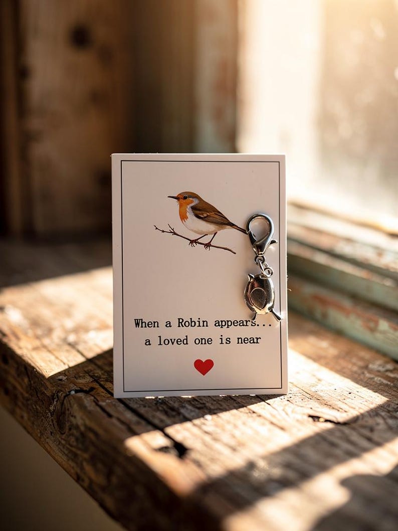 Robin Pocket Hug Keyring – A Loved One is Near - Etsy