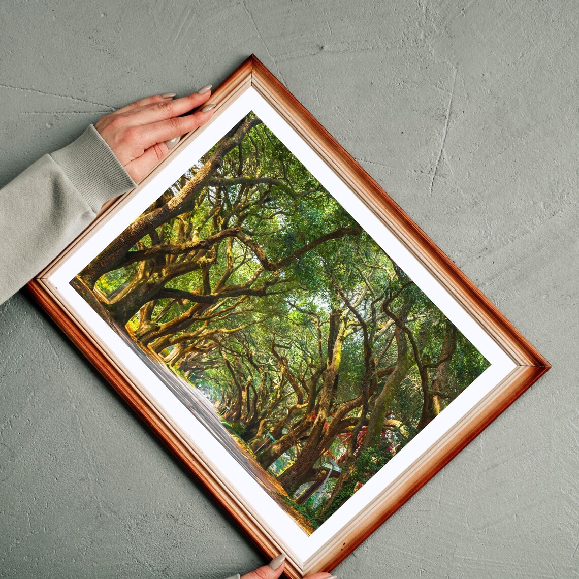 South Boundary Avenue Art Print, Aiken SC Wall Art, Rustic South ...