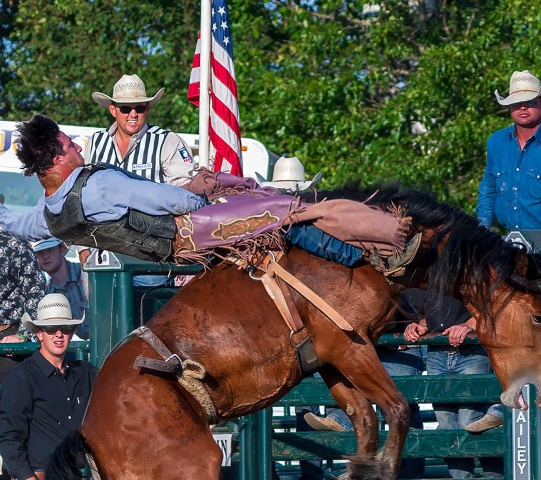 Bronc Rider in Action #2 - Etsy