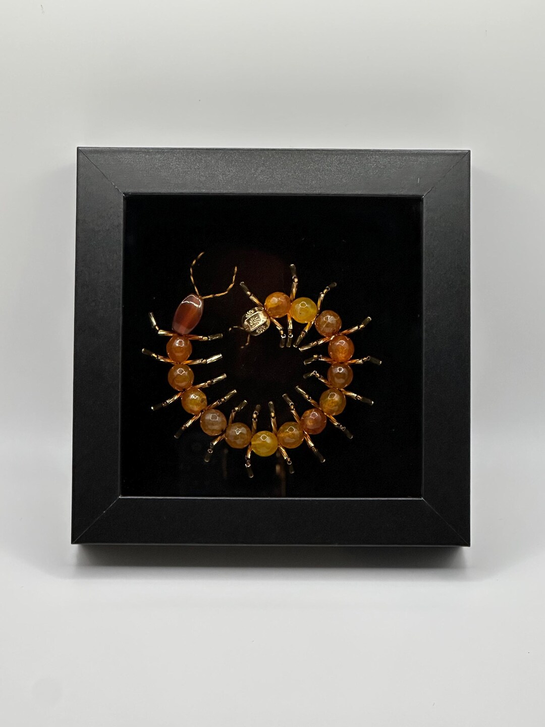 Centipede in Black Shadow Box Frame - Etsy