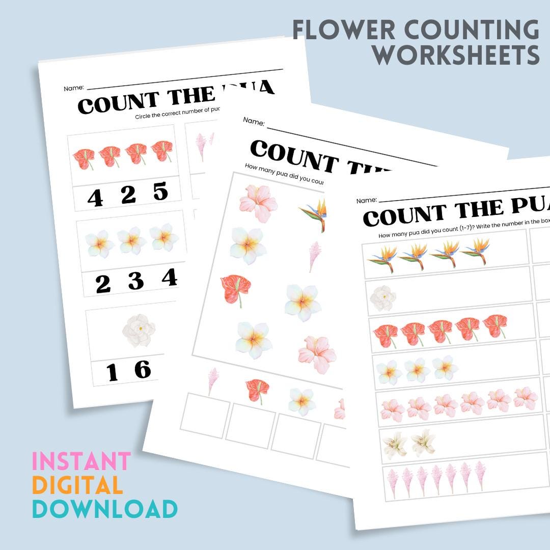 Flower Counting Worksheets - Pua (flower in Hawaiian) Instant Download ...