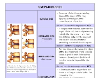Lumbar Spine Clinical Practice Guideline Study Guide, Physical Therapy ...