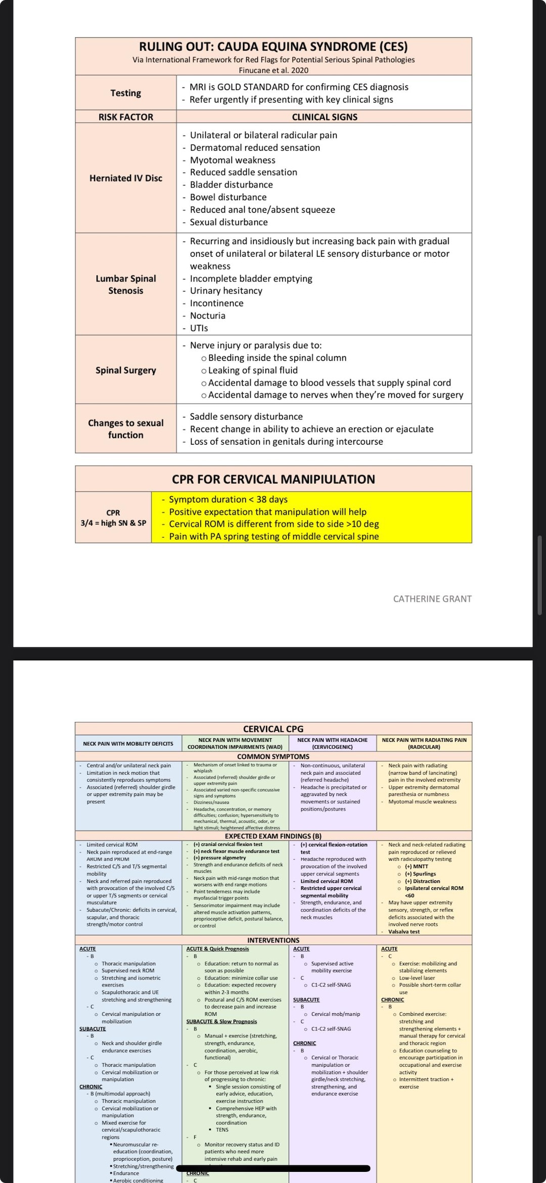 OCS - 2017 CPG Neck Pain Study Guide - Etsy
