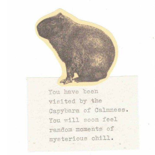 Capybara of Calmness Card Funny Encouragement Keep Calm and - Etsy Canada