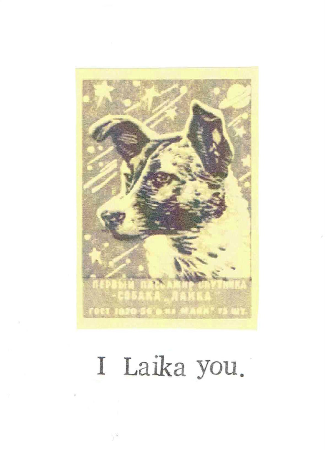 I Laika You Card Funny Valentine's Day Card for Him for - Etsy